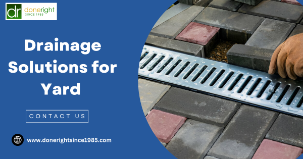 | Blog | Donerightsince1985 | blog